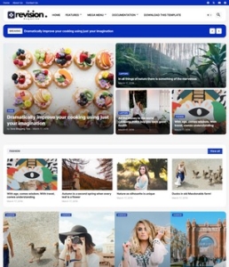 Ads Ready Blogger Templates 2025 Free Download