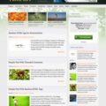 Super Pro Blogger Template • Blogspot Templates 2021