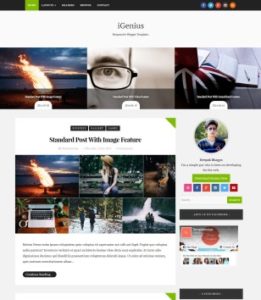 Sugar and Spice Blogger Template • Blogspot Templates 2024